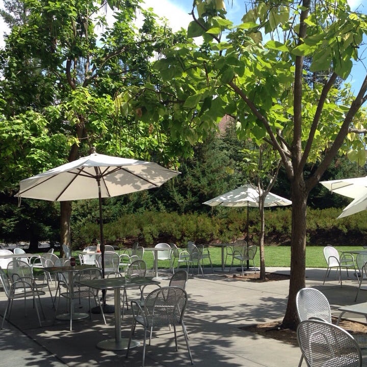 CCET(DG): 4 on-campus beverages you should be drinking